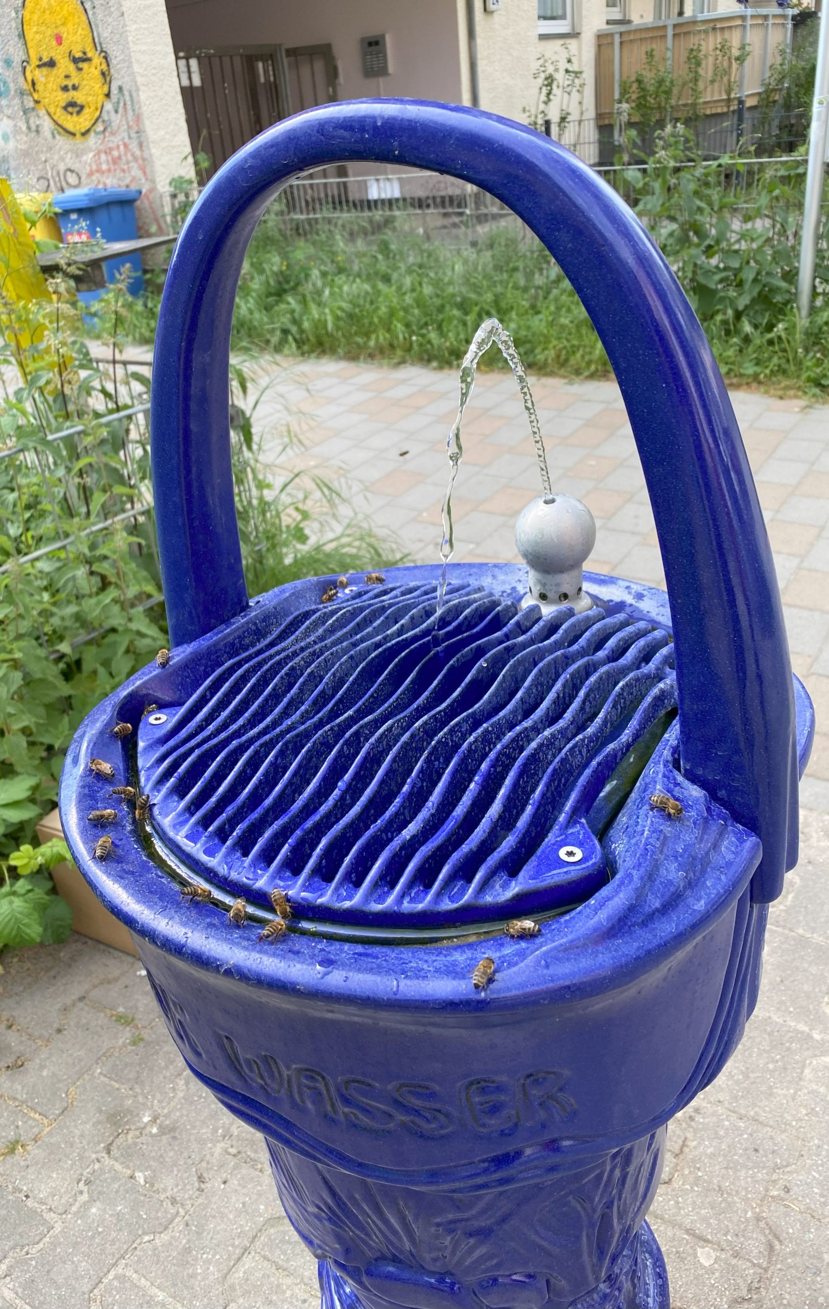 Water Fountain Schoemann