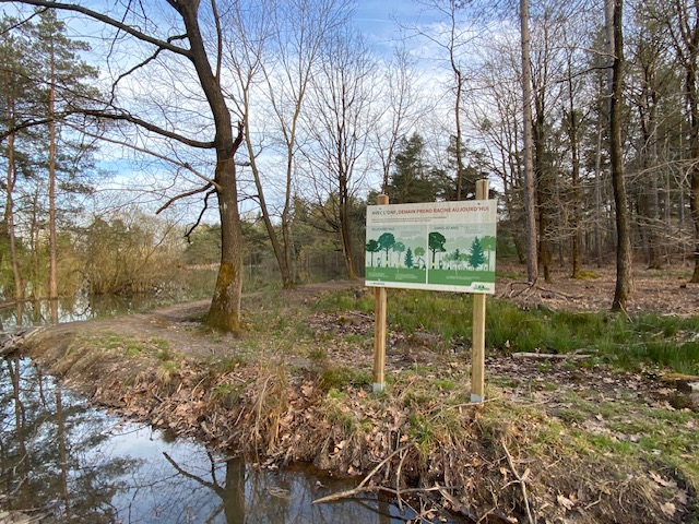 Time Horizon Schoemann